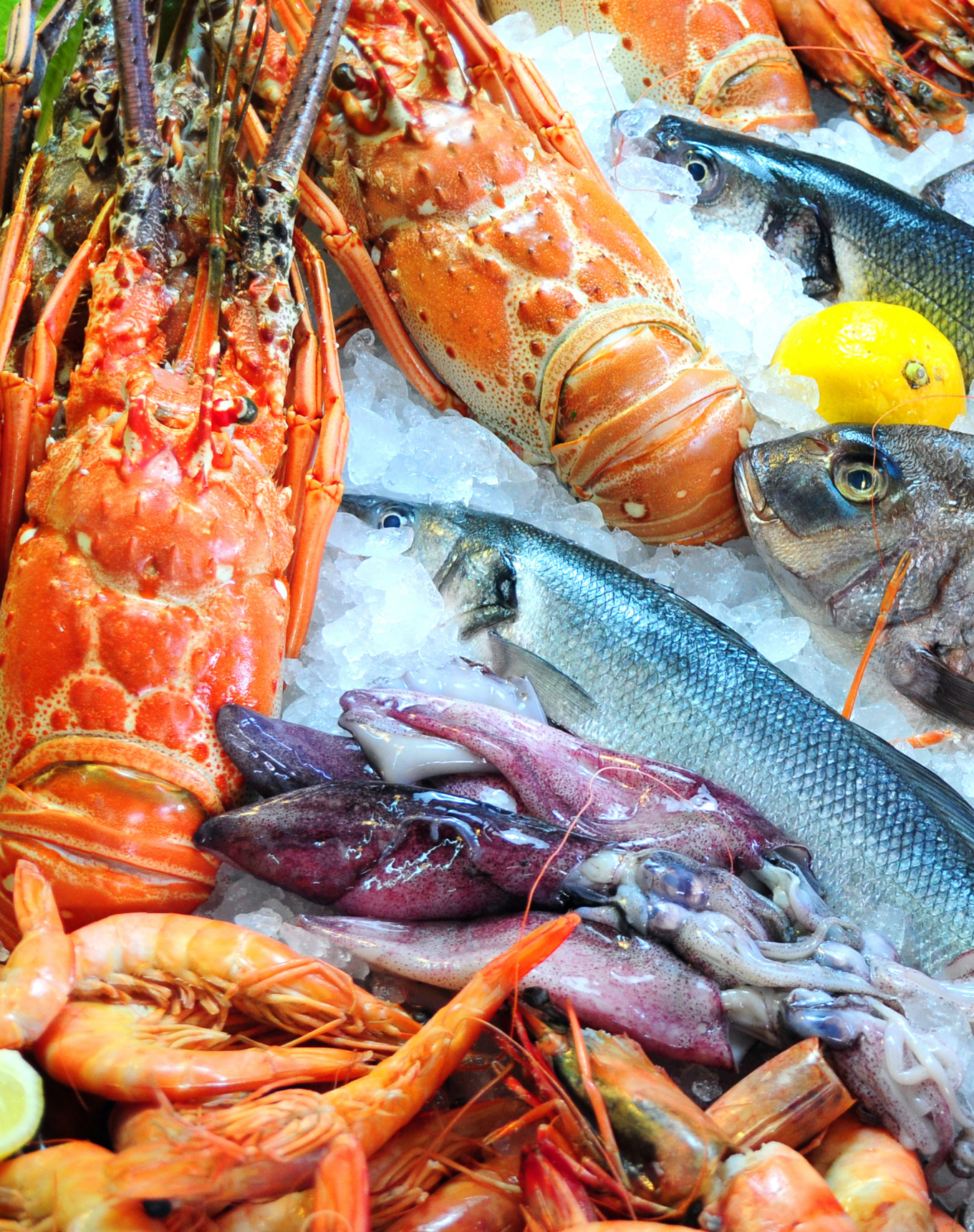 Man walking to a marooned boat