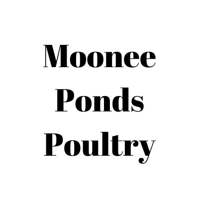 Moonee Ponds Seafood | Mooneeponds Central